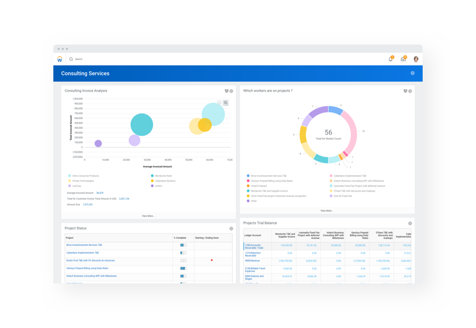 Quick Demo: Workday for Professional Business Services | Workday SE